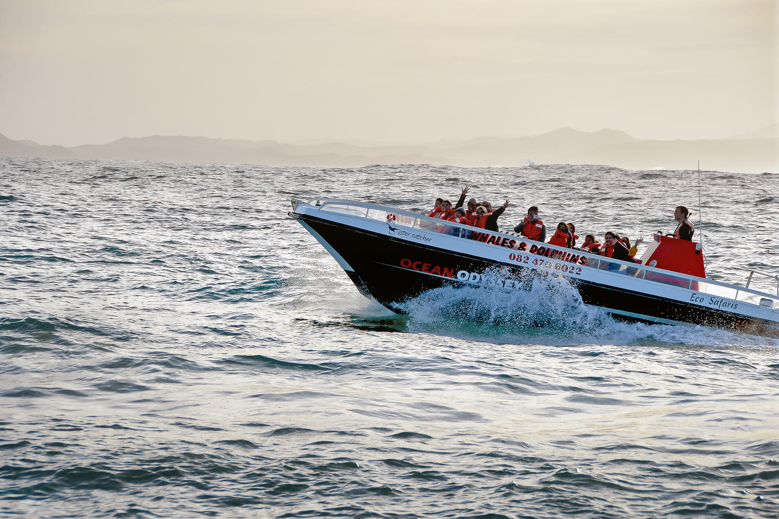 Ocean Odyssey Marine Eco-tour - Tailormade South Africa Safaris